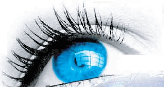 SERRURERIE – INTERPHONE D’IMMEUBLES – ALARMES -DÉTECTION INCENDIE ...